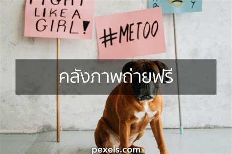 400 000 ภาพถ่าย สัญลักษณ์ความเท่าเทียมทางเพศ ที่ดีที่สุด · ดาวน์โหลดฟรี 100 · ภาพถ่ายสต็อก Pexels