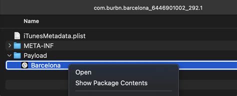 Analyzing Ipa Files Instagrams Threads App