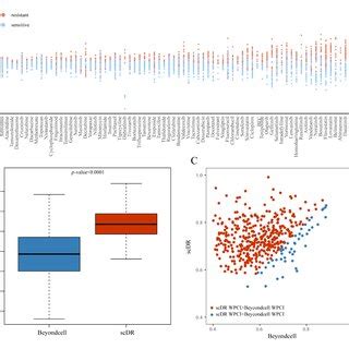 Validation And Method Comparison Using ScRNA Seq Data A The Dot Download Scientific Diagram