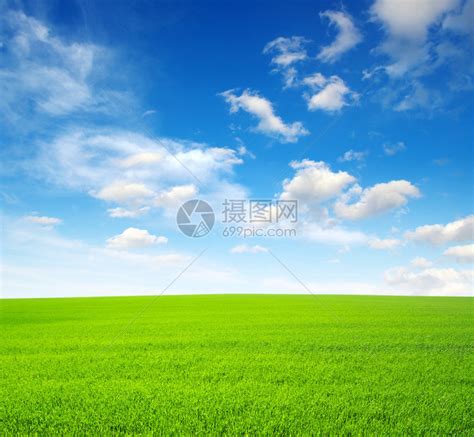 绿草场和明亮的蓝天高清图片下载 正版图片503273801 摄图网