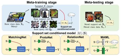 小样本数据集：cub 200鸟类数据集 知乎