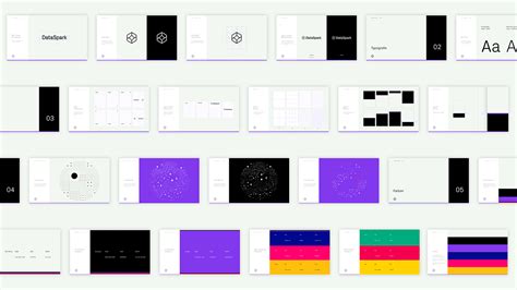 DataSpark Branding Behance