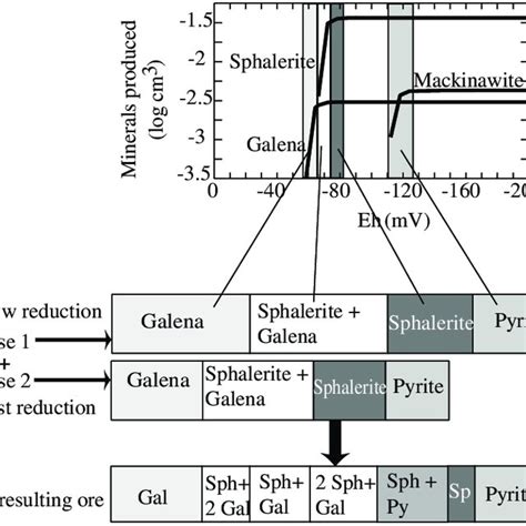 Modeled Paragenesis Of Hypothetical Sedex Deposit Different Rates Of Download Scientific
