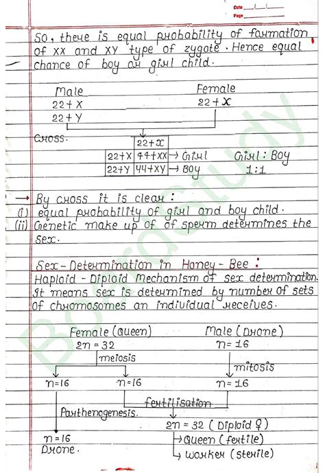 Ncert Class 12 Biology Principles Of Inheritance And Variation Notes
