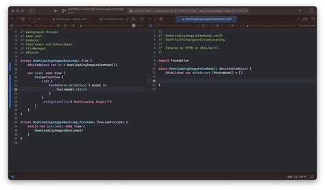 Swiftui Continued Learning Review Download And Save Images