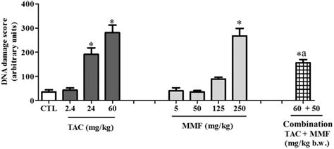 Total Dna Fragmentation Was Measured By The Alkaline Comet Assay In Download Scientific Diagram