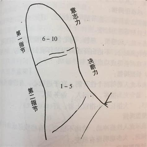 大拇指第二关节 手指关节肿大 手指关节 第2页 大山谷图库