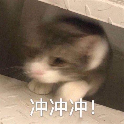 放假下班冲鸭表情包！ 真实！