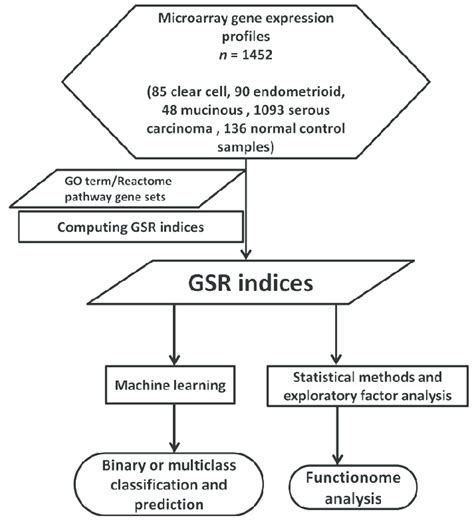 Workflow Of The Gene Set Regularity Model The Gene Set Regularity Download Scientific Diagram