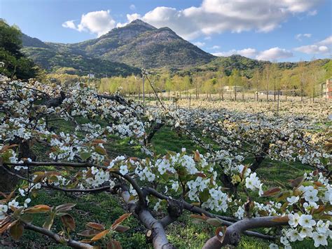 성바오로출판사 저희 형제가 쓴 도서 리뷰인데요참 예쁜 마음씨를 가지고 있는 형제가 글재주도 어찌나 좋은지 자랑하고 싶어서 이렇게 나눕니다 를 읽고 고독을 벗어나
