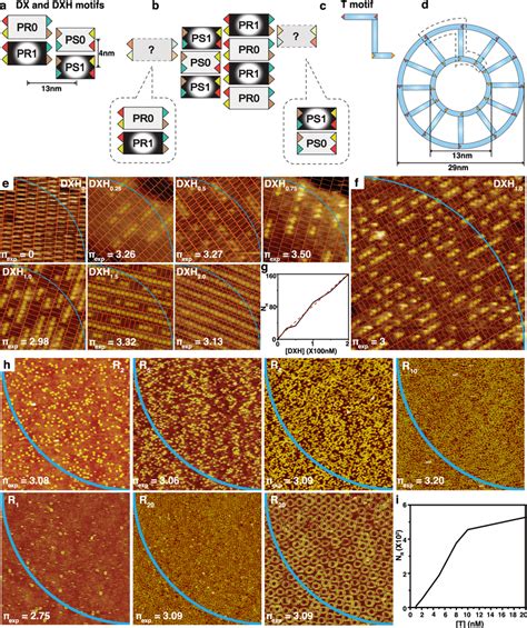Experimental Observation Of π Using Dna Nanostructure Configuration