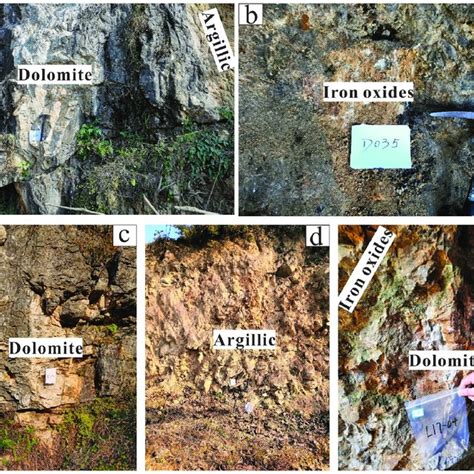 Typical Field Photographs Of The Hydrothermal Alteration Zones A Download Scientific Diagram
