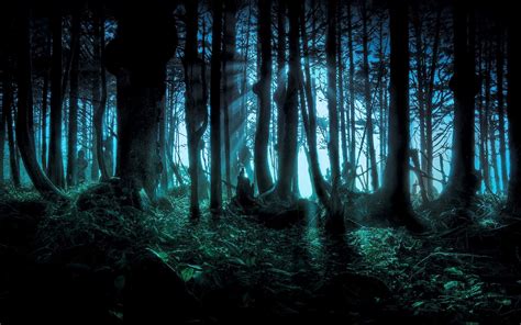 200 Dark Forest Backgrounds