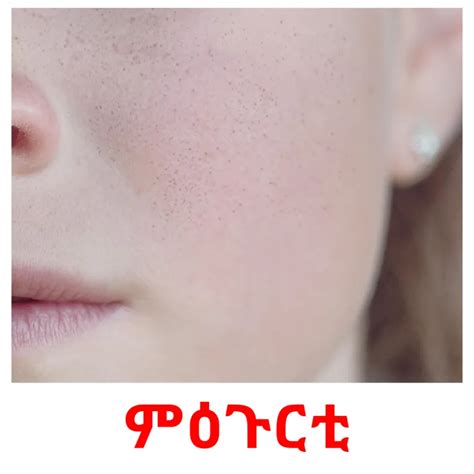 20 Free Face Flashcards In 4 Pdf Formats Tigrigna Eritrea Pictures