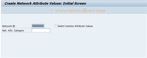 IN SAP Tcode Create Network Attribute Values IN SAP Tcode Create Network Attribute Values