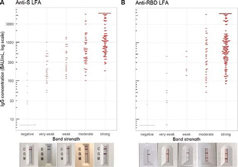 Comparison Of Visual Band Strength With Quantified Abbott Sars Cov 2 Download Scientific