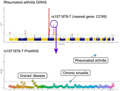 Full Article Large Scale Cross Trait Genetic Analysis Highlights