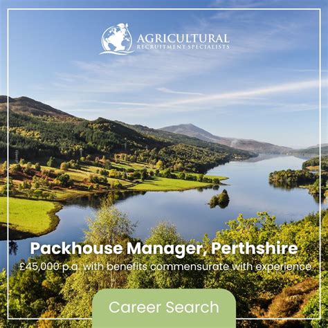 Wajid Ali On Linkedin I Interested