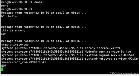 Write 命令介绍和使用案例linux Write命令 Csdn博客