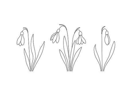 Snowdrop 봄 꽃 검은 선 요소 손으로 그린 Snowdrops 세트 식물 꽃 선형 디자인 편집 가능한 스트로크 벡터 일러스트 레이 션 0명에 대한 스톡 벡터 아트 및