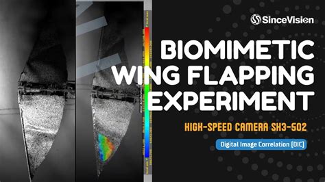 Biomimetic Wing Flapping Experiment Captured By Sh3 502 Sincevisions High Speed Camera Slowmo