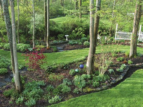 A Woodland Garden Design Fine Gardening