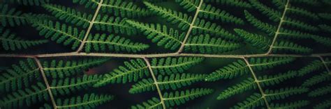 Artstation Ranjith Kumar