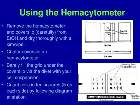 Ppt Mastering Cell Culture Terminology Techniques And Solutions Powerpoint Presentation Id