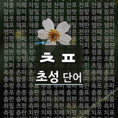 초성 ㅊㅍ으로 이루어진 단어 180개