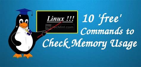 10 Free Commands To Check Memory Usage In Linux