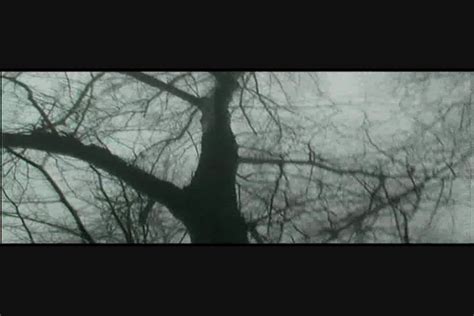 Adult Empire Award Winning Retailer Of Streaming Porn Videos On Demand Adult DVDs Sex Toys