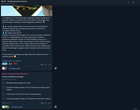 Почему бизнесу нужно запускать опросы в Telegram и как это делать
