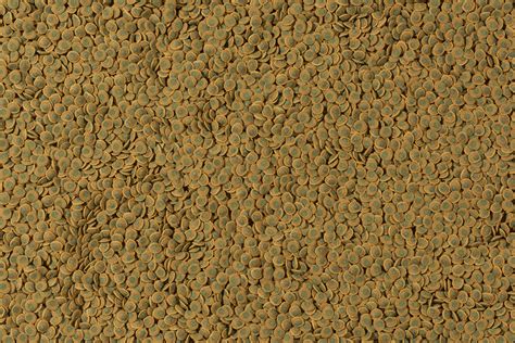 Tetra Pleco Veggie Wafers online kopen? → Dierencompleet.nl