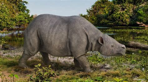 Toxodon 3d Model Turbosquid 1806674