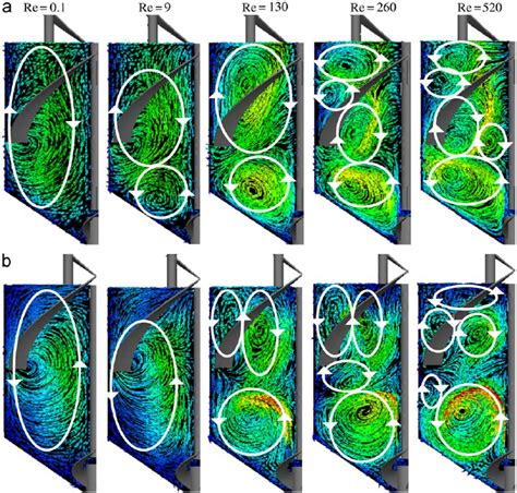 The Evolution Of The Instantaneous Velocity Field Projected Over A