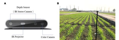 figure 2 from multi modal deep learning for weeds detection in wheat
