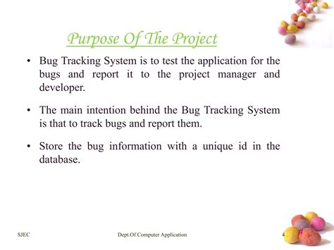 Bug Tracking System Pptx