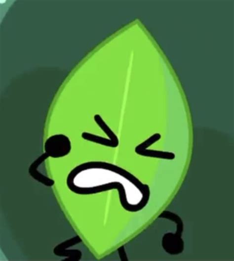 Leafy Bfb Love U So Much Battle Character