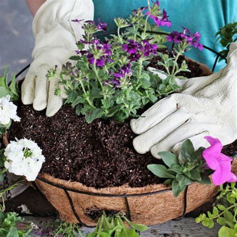 Natural Coco Hanging Basket Liner Coco Liner For A 16 Inch Basket