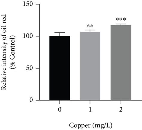 Cu Exposure Promoted Fat Deposition In C Elegans A Representative