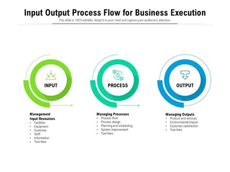 Input Output Process Flow For Business Execution Presentation Graphics Presentation