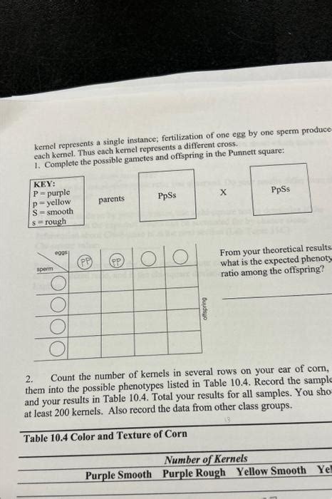 Solved Kernel Represents A Single Instance Fertilization Of