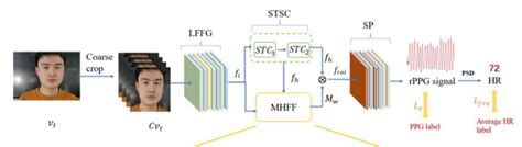 【rppg论文阅读】multi Hierarchical Convolutional Network For Efficient Remote Heart Rate Estimation 知乎
