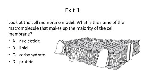 Do Now On The New Tracker Ppt Download