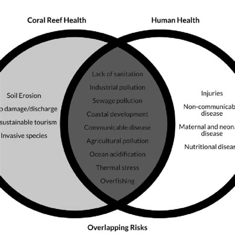 Illustration Of Various Origins Of Point And Nonpoint Source Pollution Download Scientific