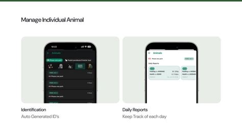 Boost Your Farms Productivity With The New E Farmer App Kamga Fontcha Frank Donald