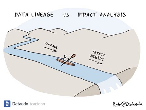 Data Lineage Vs Impact Analysis Dataedo Data Cartoons