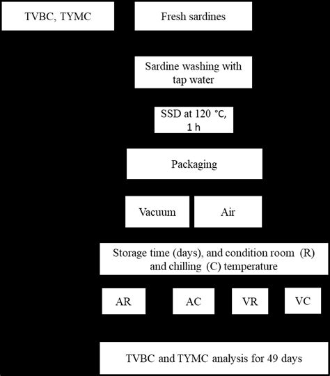 A Flow Chart Showing The Experimental Setup For Microbial Analysis Of Download Scientific