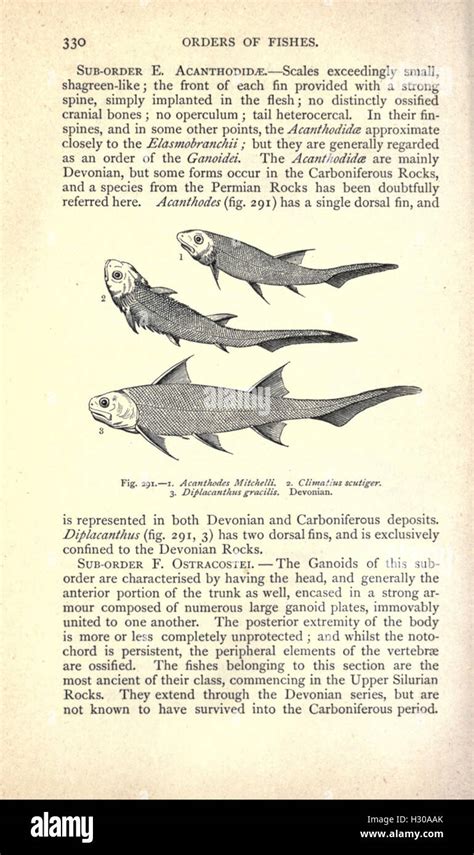 An Educational Text Introducing Paleontology Principles Providing Foundational Knowledge On