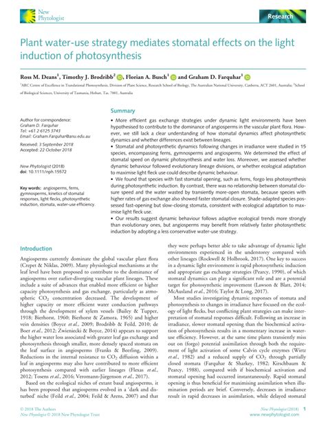 Pdf Plant Water‐use Strategy Mediates Stomatal Effects On The Light Induction Of Photosynthesis